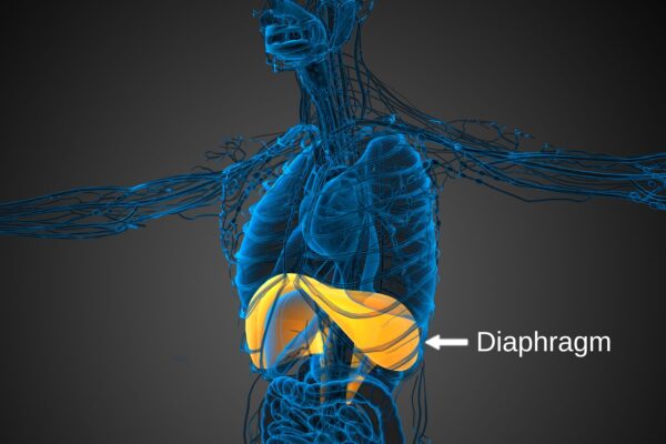 A Deep Breath Is Not A Big Breath: How To Breathe Correctly